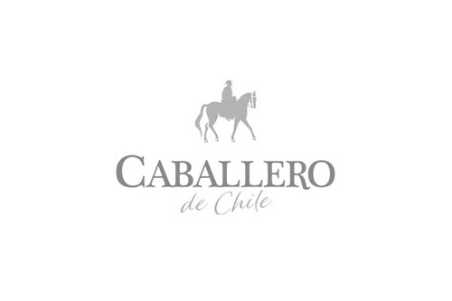 About ⋆ Ezi Brand Design